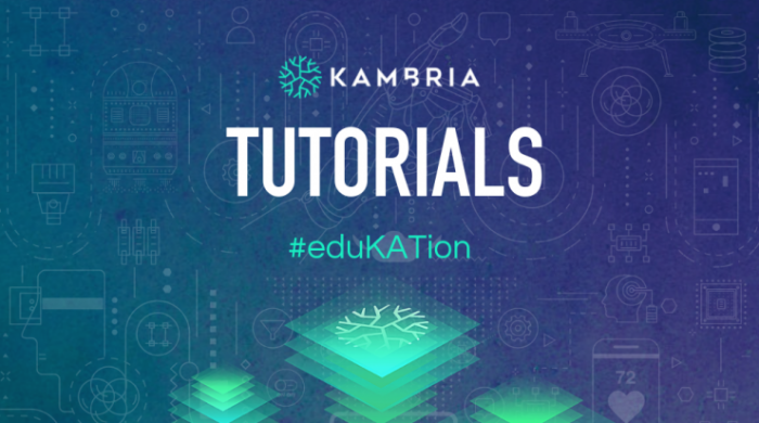 How to view your KAT balance in your MetaMask Wallet - Kambria